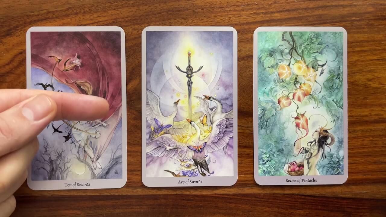 Transform Like The Phoenix 27 July 2021 Your Daily Tarot Reading With ...