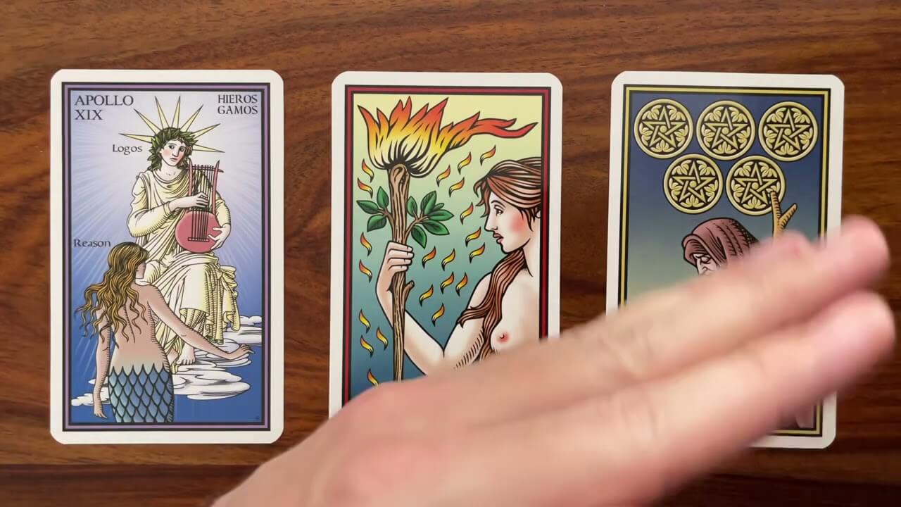 Shape The Future 21 August 2022 Your Daily Tarot Reading With Gregory Scott