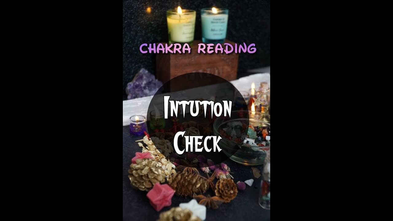 Check Intuition