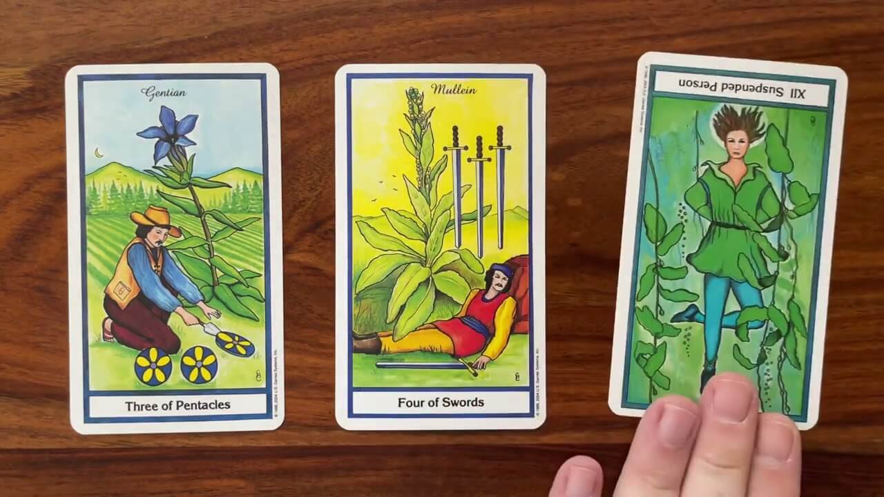 Change Your Perspective 5 September 2022 Your Daily Tarot Reading With ...