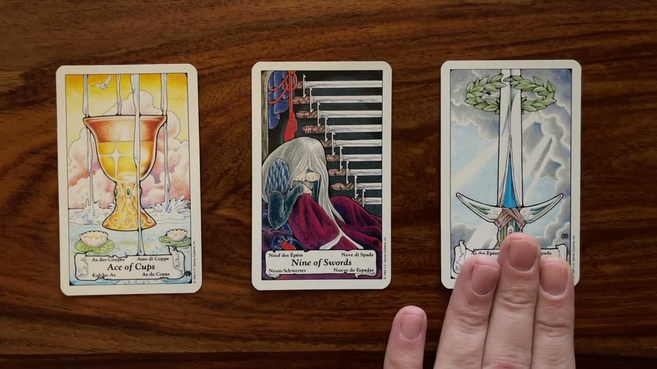 The Universe Delivers! 16 December 2022 Your Daily Tarot Reading With ...