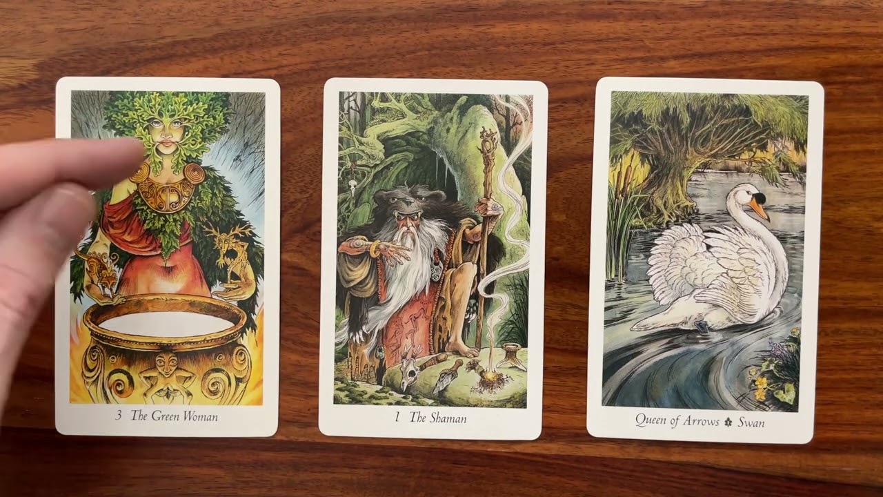 Build A Door 27 April 2023 Your Daily Tarot Reading With Gregory Scott