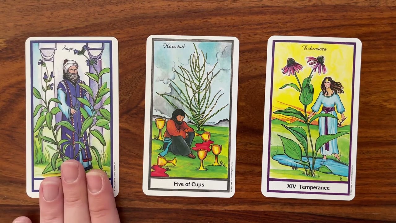 Power Up! 24 April 2023 Your Daily Tarot Reading With Gregory Scott