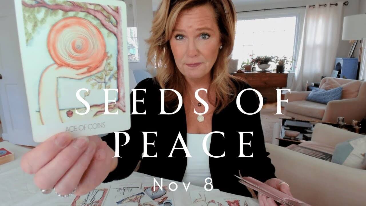 Your Daily Tarot Reading : Seeds Of PEACE | Spiritual Path Guidance