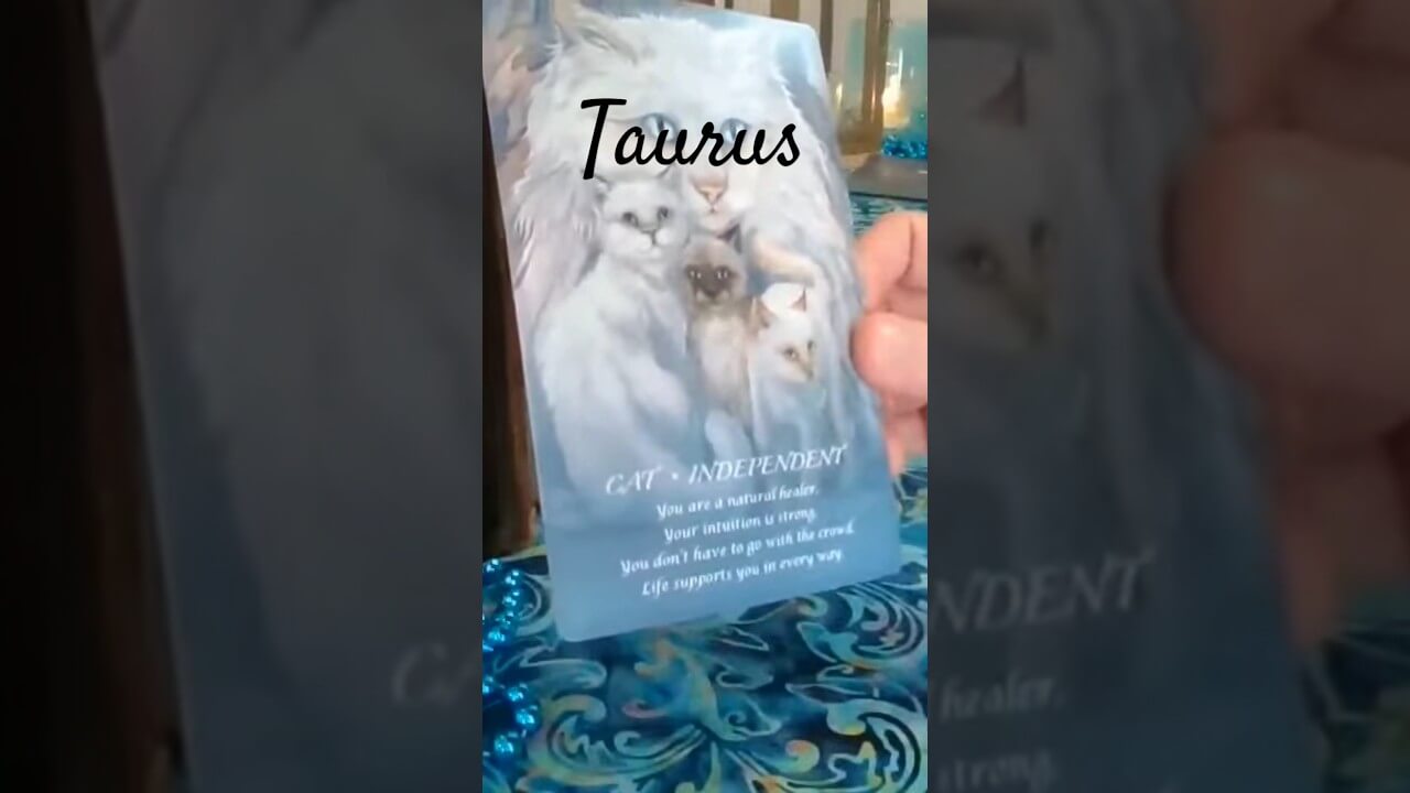 Taurus 💫 Spirit Animal Message 2025 #Taurus #tarot
