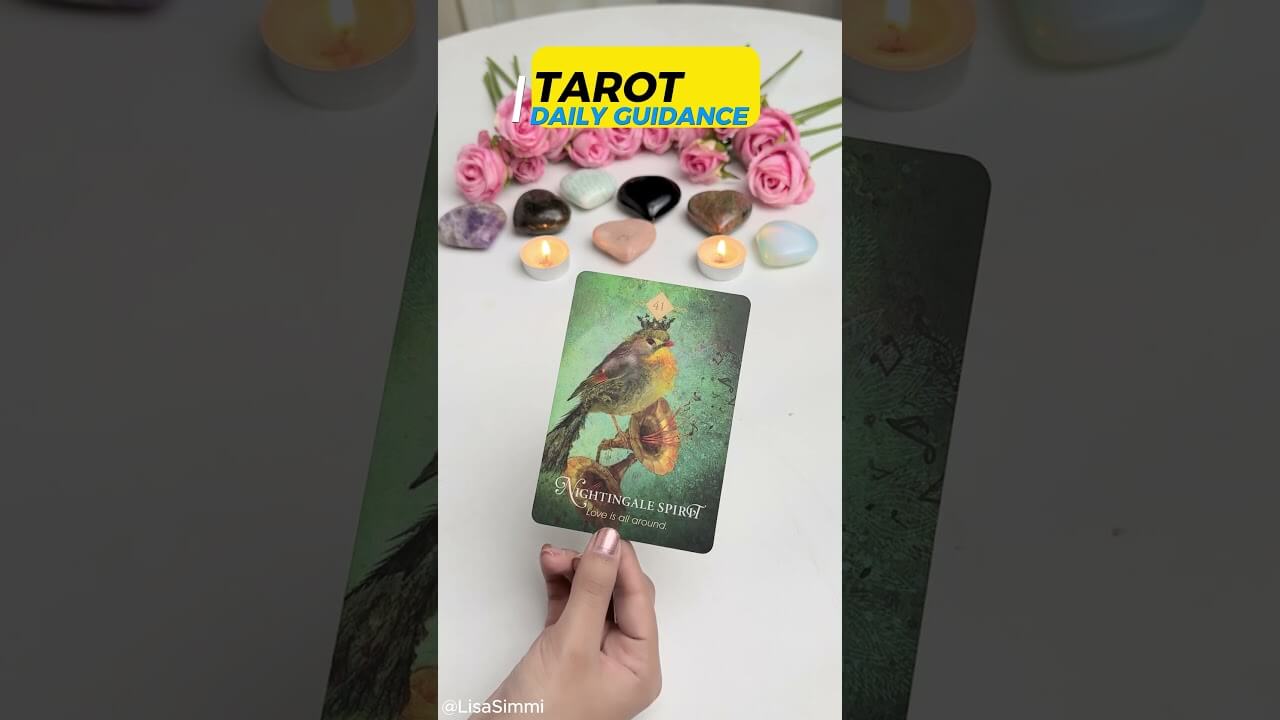 Tarot Daily Guidance #72 Your Daily Tarot :Tarot Astrology Numerology 2025 Prediction | @lisasimmi